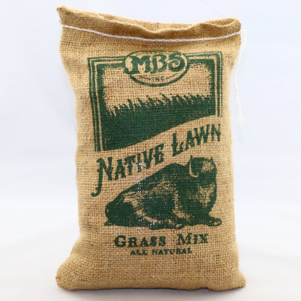 Horse Pasture Grass Mix - 10 lb bag | MBS Seed