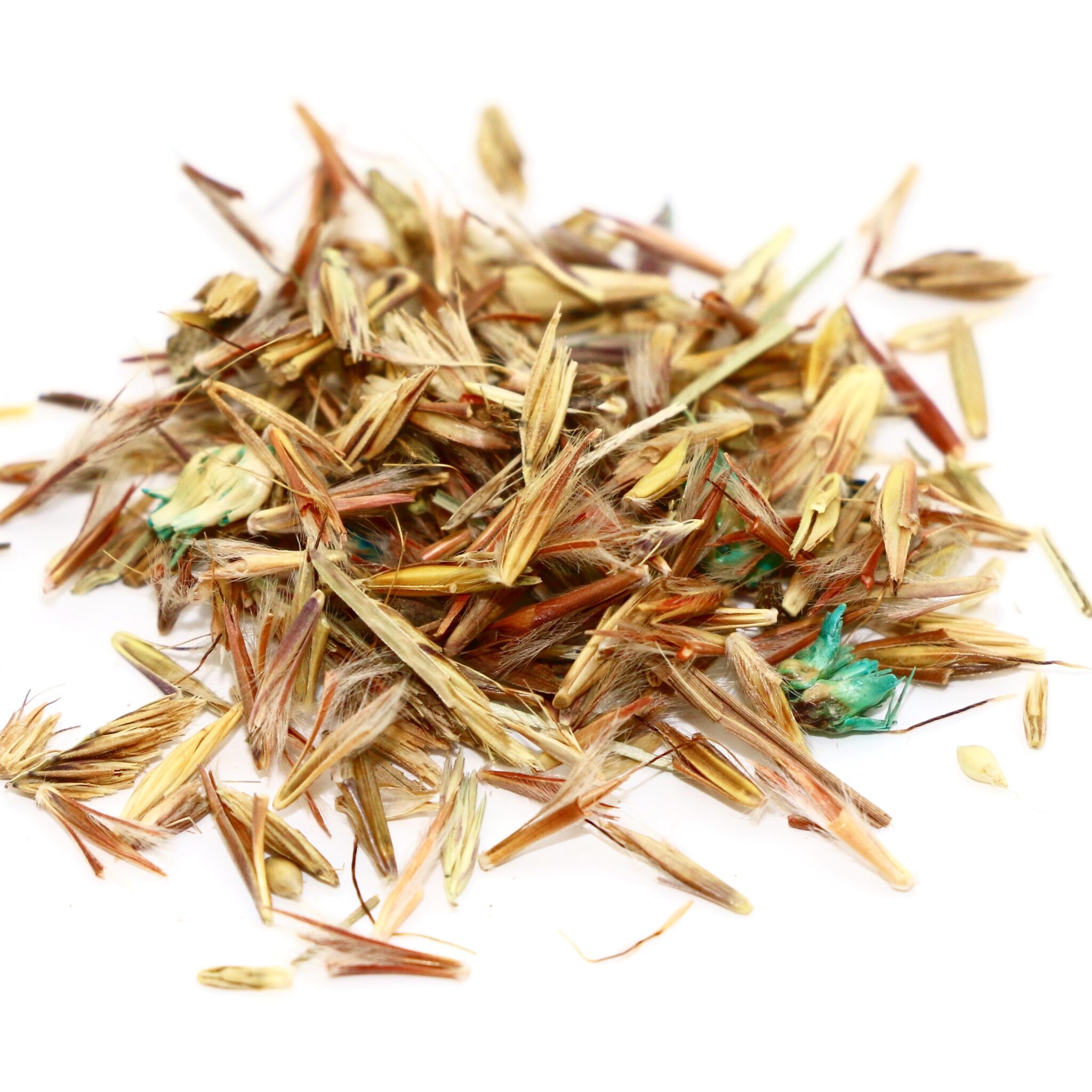 Native Prairie Grass Mix - 10 lb bag | MBS Seed