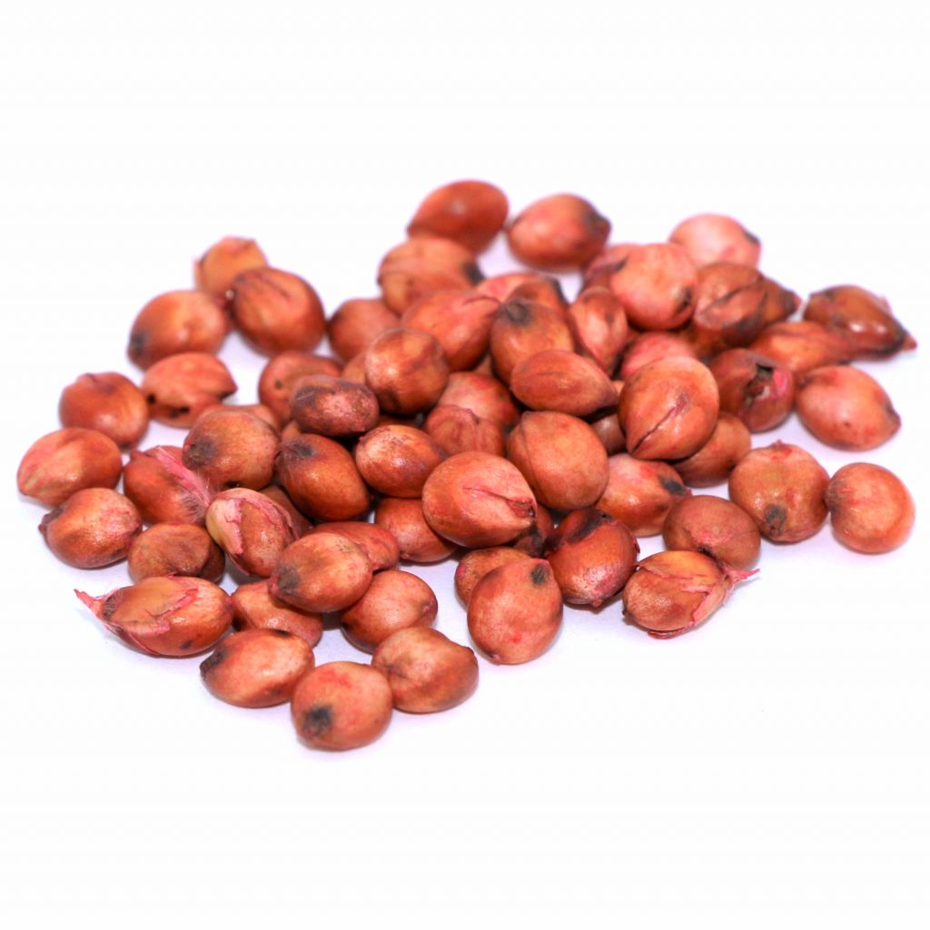 Hegari Forage Sorghum - 50 lb bag | MBS Seed