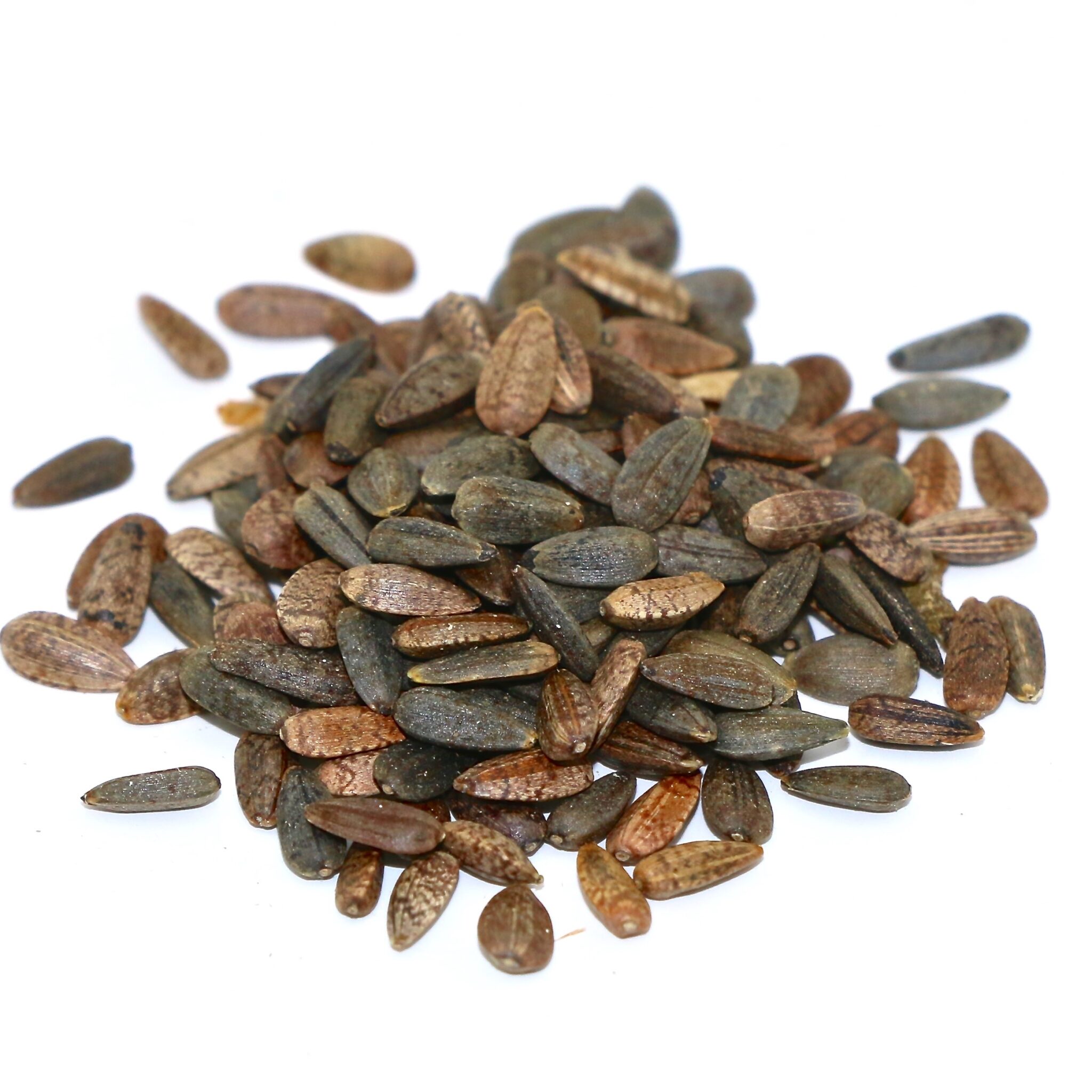 Cover-All Spring Cover Crop Mix - 40 lb bag | MBS Seed