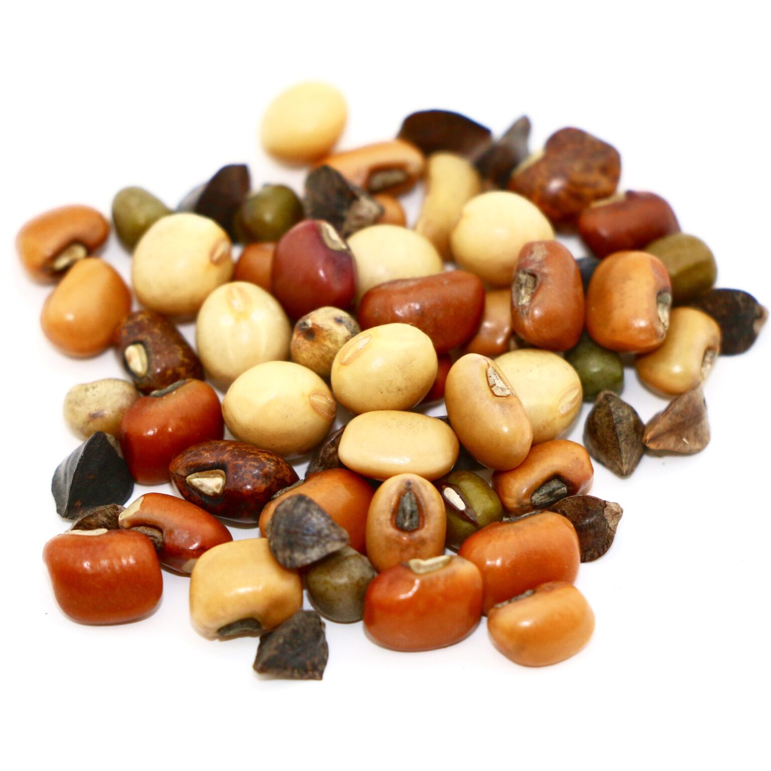 Spring Deer Blend - 50 lb bag | MBS Seed