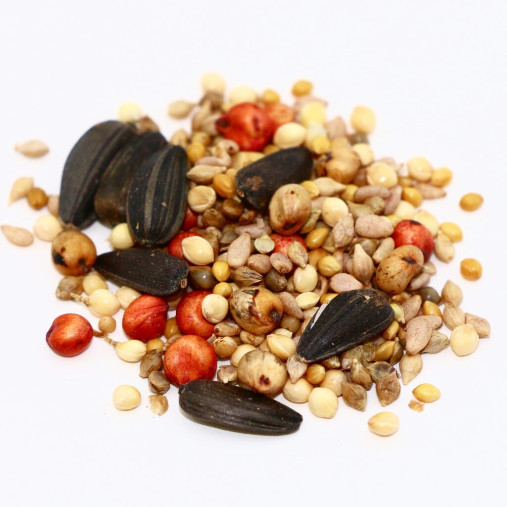 Cover-All Spring Cover Crop Mix - 40 lb bag | MBS Seed