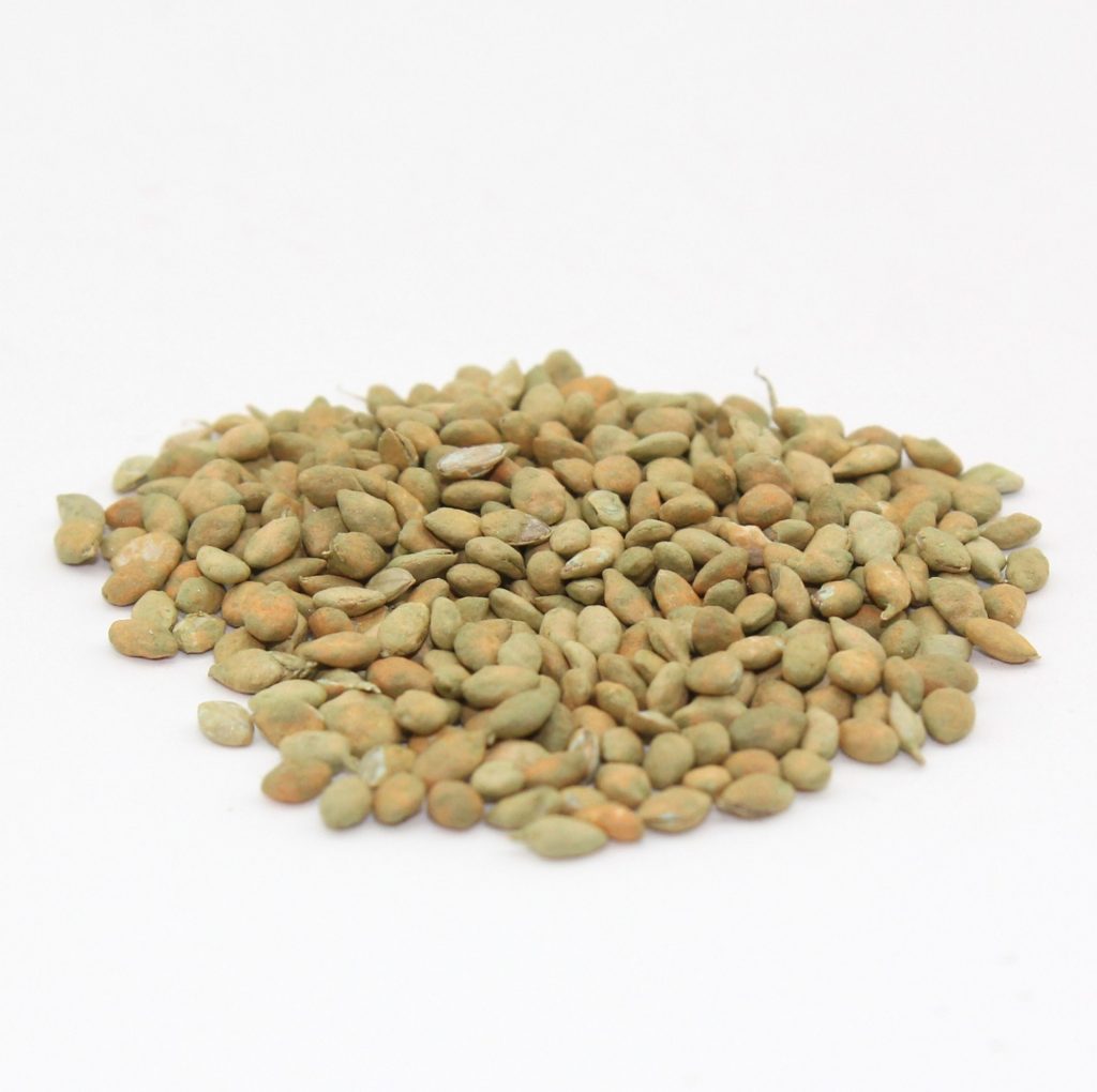 Pensacola Bahiagrass - 50 lb bag | MBS Seed