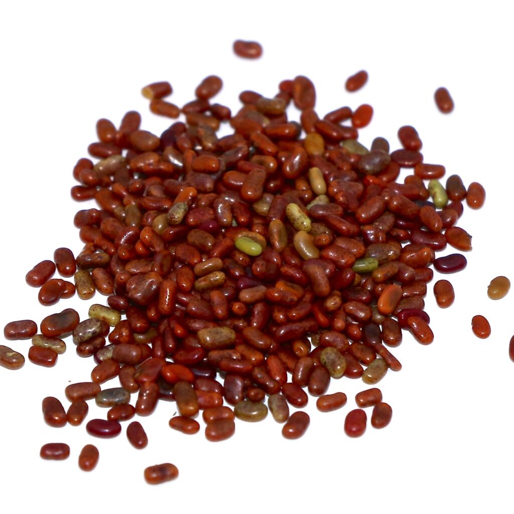 Wildlife Seed Archives | MBS Seed
