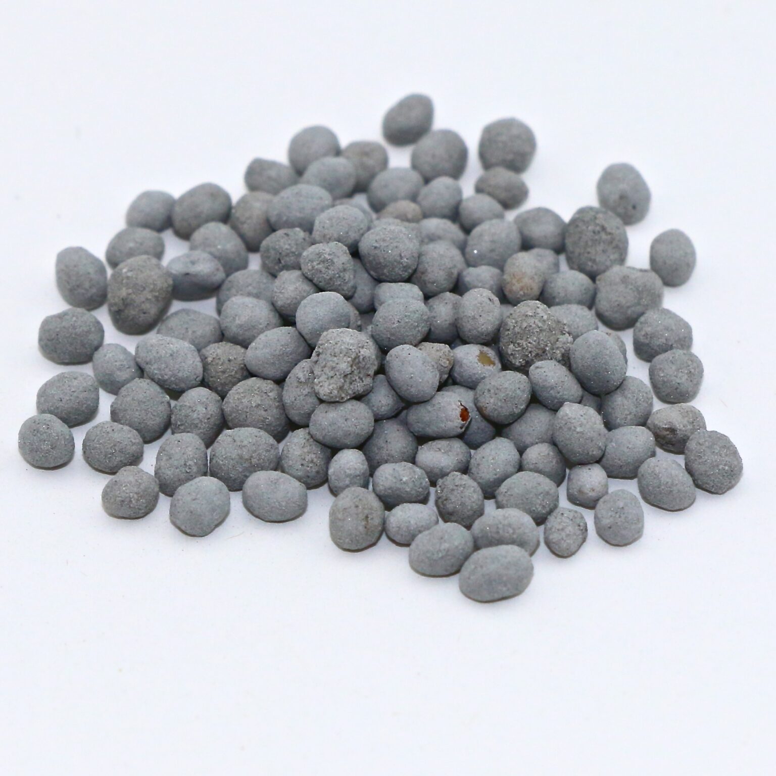 Balady 1 Berseem Clover 50 lb bag | MBS Seed