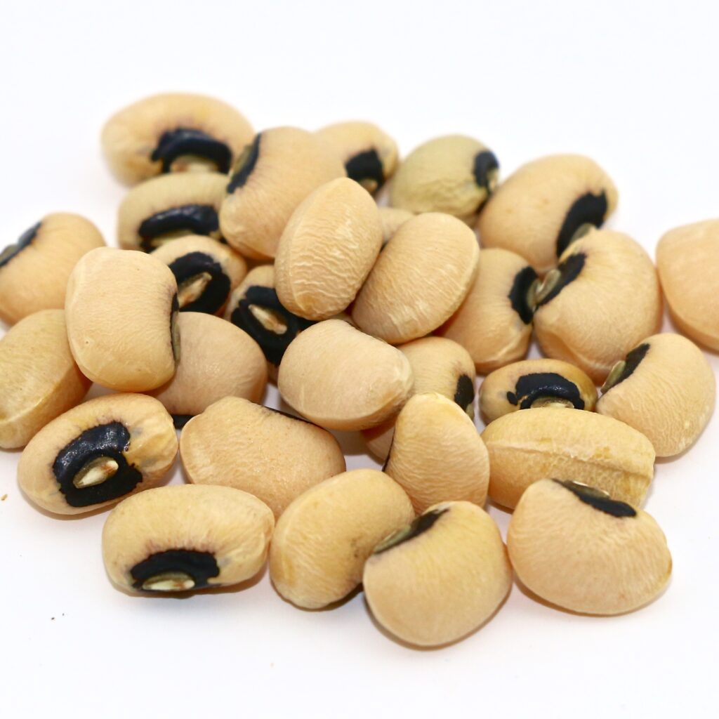 Blackeye Cowpeas - 50 lb bag | MBS Seed