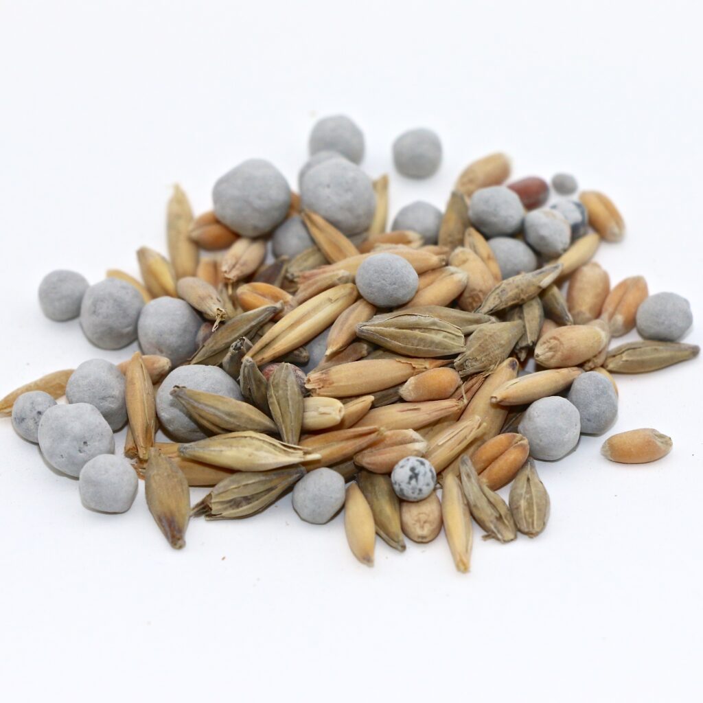 Cover-All Fall Cover Crop Seed Mix - 40 lb bag | MBS Seed