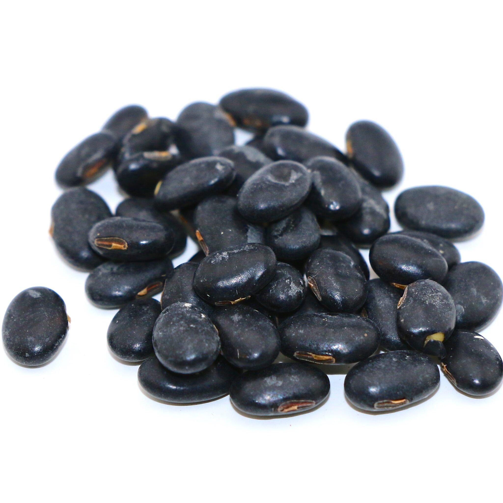 Laredo Soybeans - 50 lb bag | MBS Seed