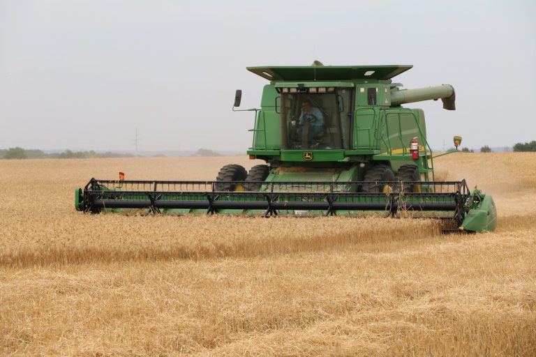 Soft Red Winter Wheat Grain - 50 lb bag | MBS Seed