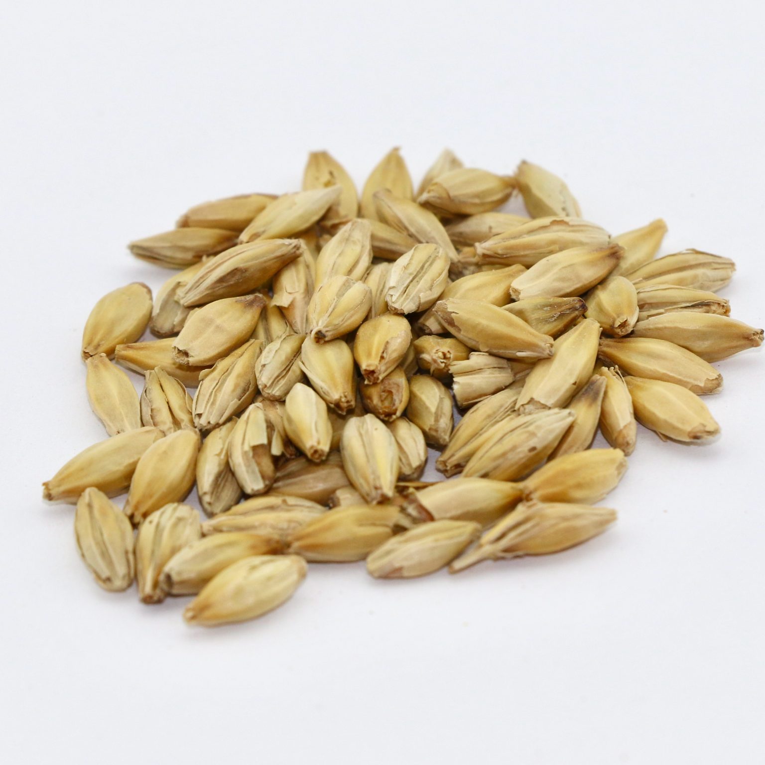 Base Malt - Malted 2 Row Barley - 50 lb bag | MBS Seed