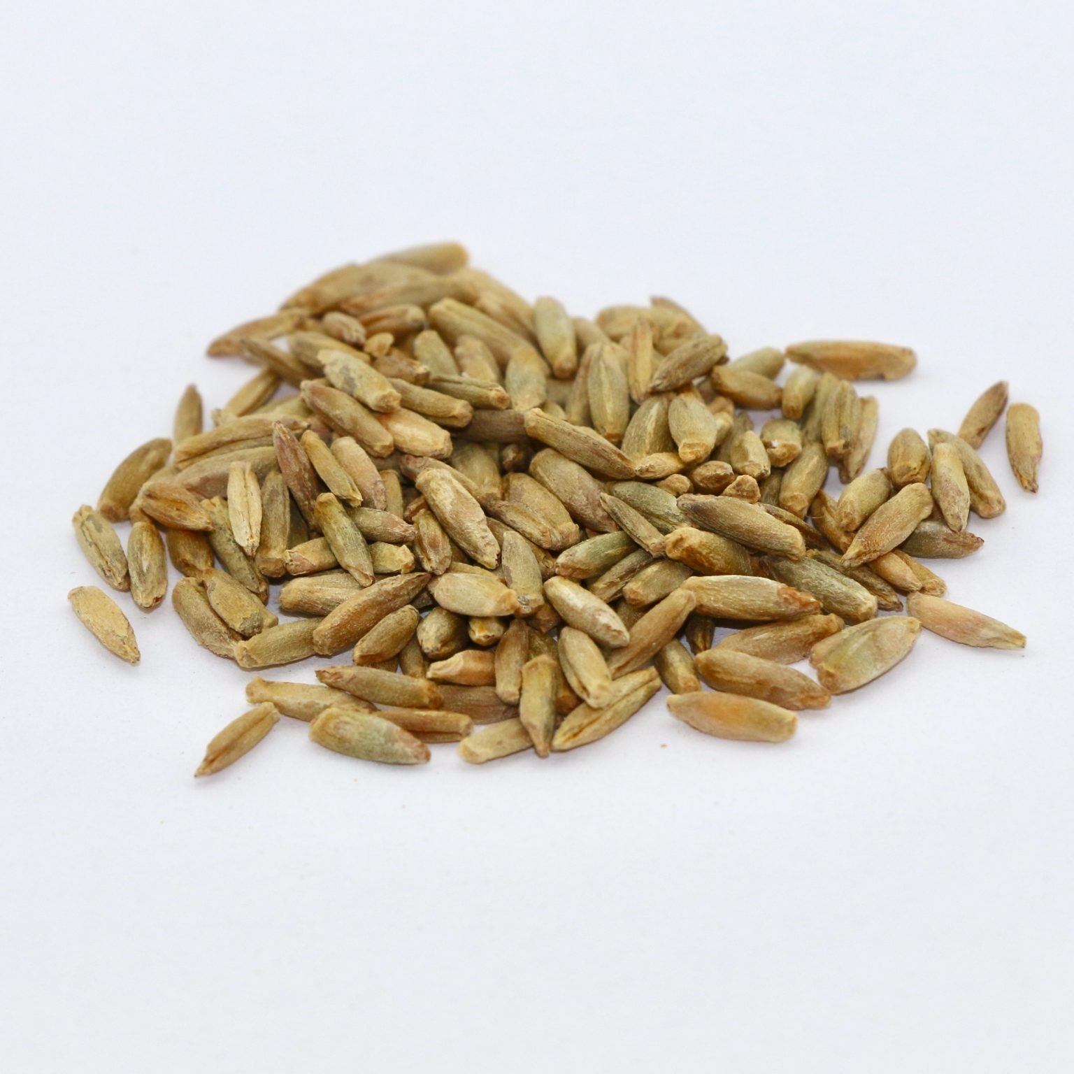 Soft Red Winter Wheat Grain - 50 lb bag | MBS Seed