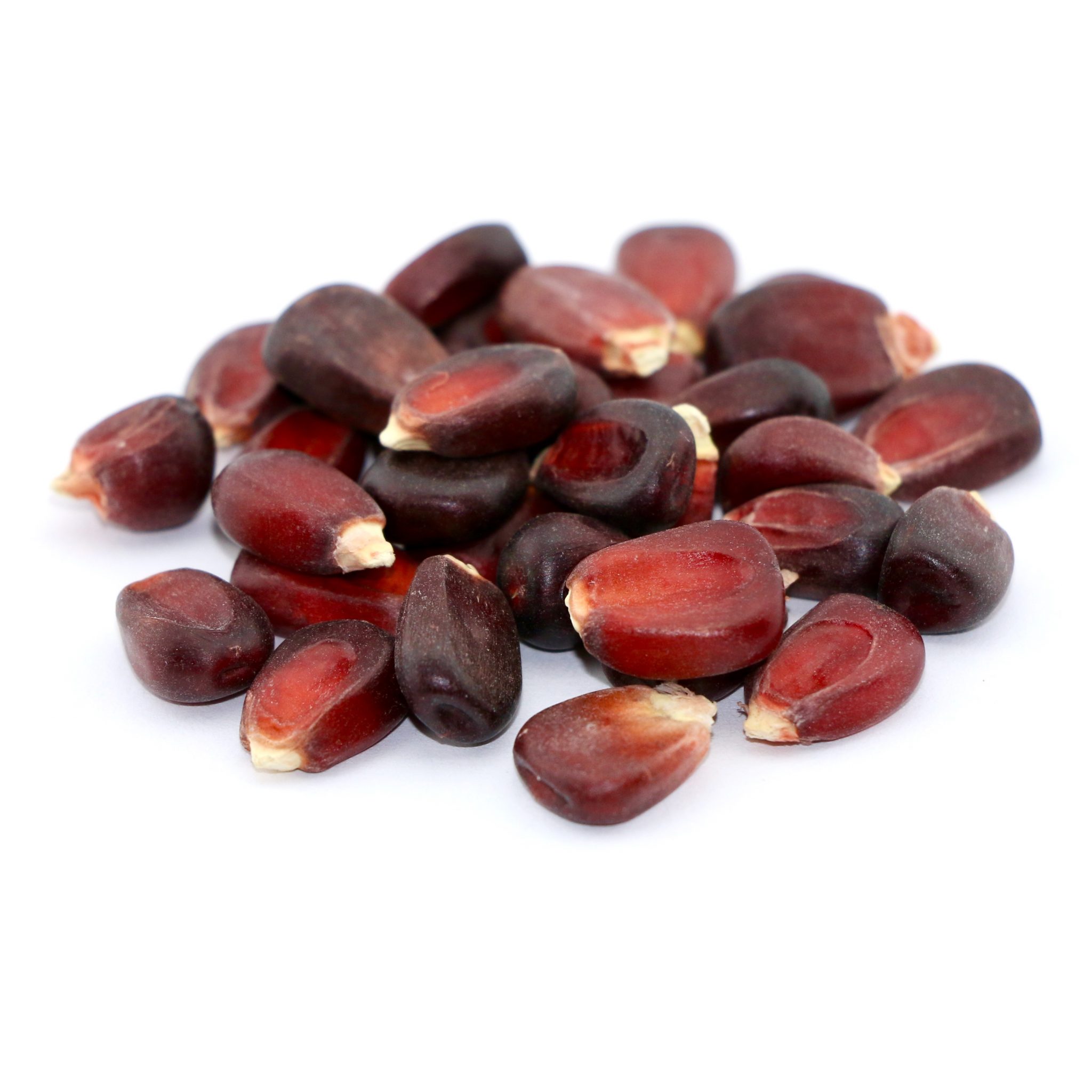 Jimmy Red Corn Seed - 50 lb bag | MBS Seed