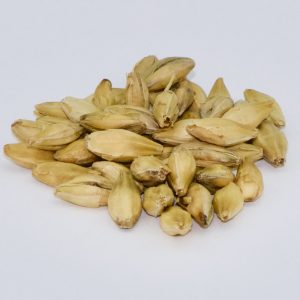Wildfire Pale Malt - Malted 2 Row Barley - 50 lb bag | MBS Seed