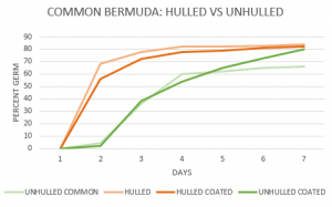 Relative Germination Times: Hulled VS Unhulled Bermuda | MBS Seed