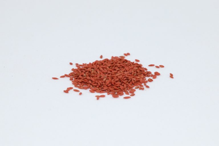 Maya Bermudagrass, Hulled/Unhulled & Coated 25 LB Bag | MBS Seed